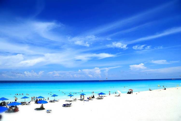 Mixed media feed | LIFE is | LINE Official Account