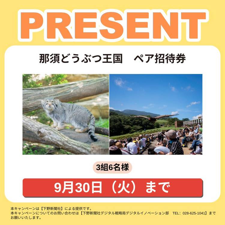 Mixed media feed | おとくにポチッ とちぽ | LINE Official Account