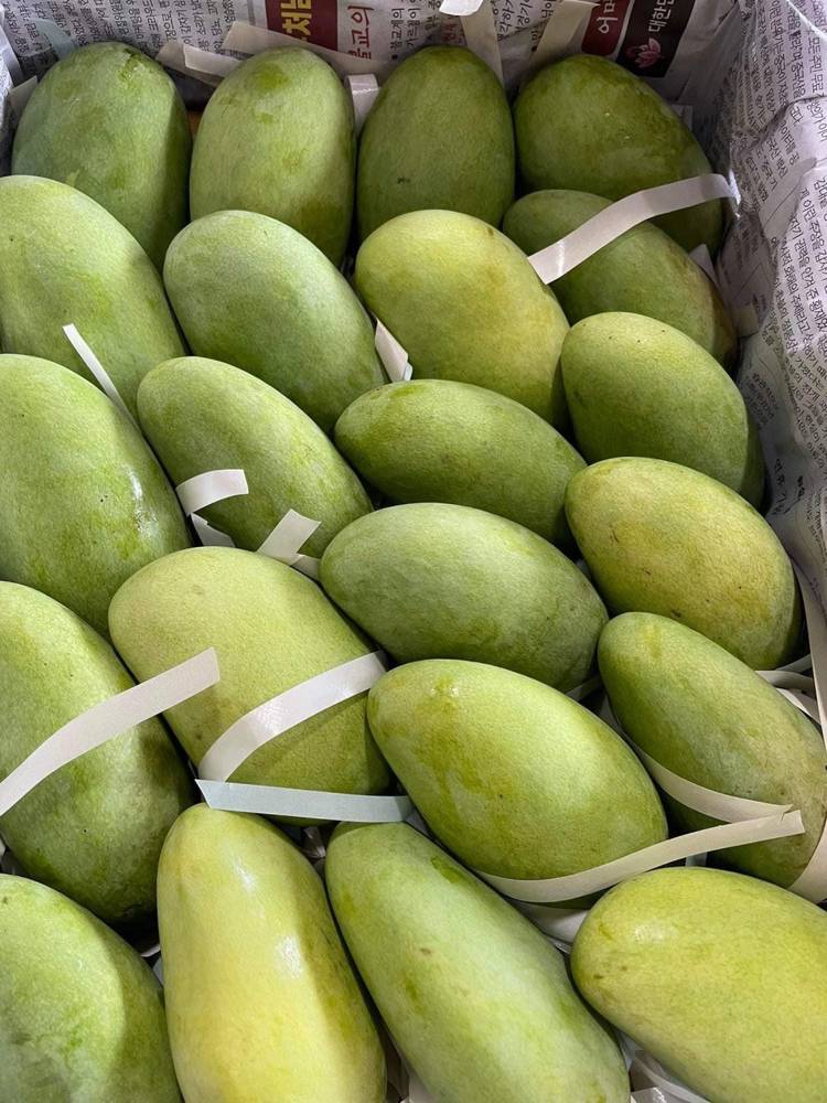 Mixed media feed | Fruit Tales | LINE Official Account