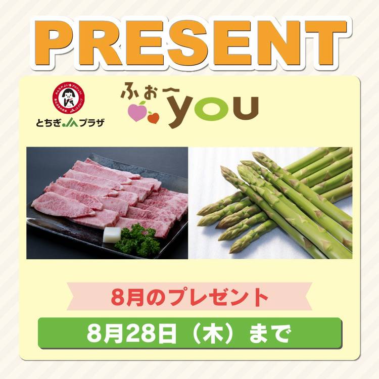 Mixed media feed | おとくにポチッ とちぽ | LINE Official Account