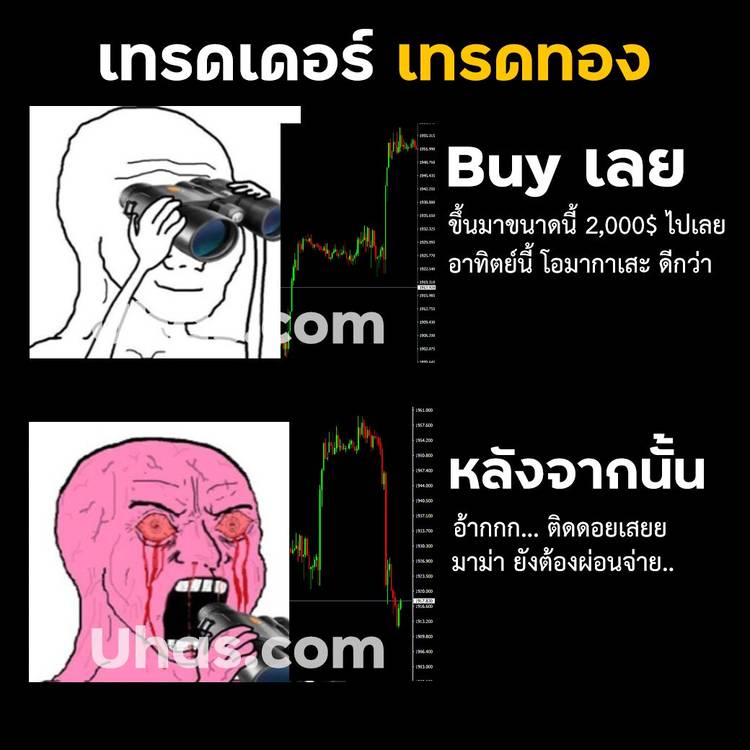 Mixed media feed | Uhas Thailand | LINE Official Account